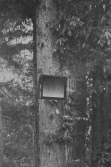 ‎No Land (2019) directed by Emily Chao • Reviews, film + cast • Letterboxd