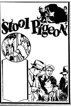 ‎Stool Pigeon (1928) directed by Renaud Hoffman • Film + cast • Letterboxd