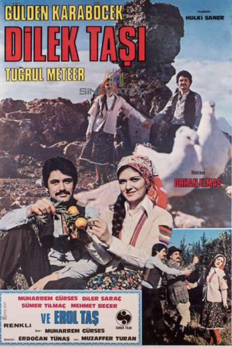 ‎Dilek Taşı (1978) directed by Orhan Elmas • Film + cast • Letterboxd
