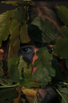 ‎Green Man (2008) directed by Richard Ashrowan • Reviews, film + cast ...