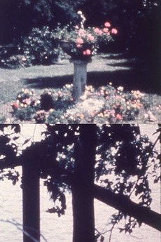 A Reticule of Love’ review by Andrew • Letterboxd