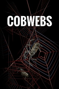 ‎Cobwebs (2013) directed by Cyriak • Reviews, film + cast • Letterboxd