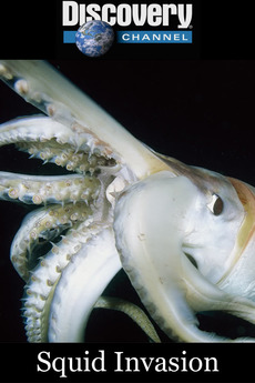 ‎Squid Invasion • Film + cast • Letterboxd