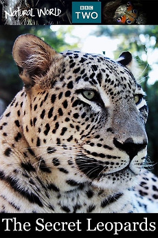 ‎The Secret Leopards (2010) • Reviews, film + cast • Letterboxd