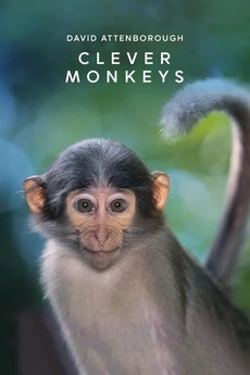 ‎Clever Monkeys (2008) • Reviews, film + cast • Letterboxd