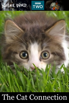 ‎The Cat Connection • Film + cast • Letterboxd
