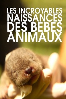 ‎Les incroyables naissances des bébés animaux (2017) • Film + cast ...