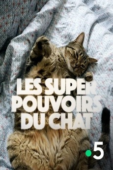 ‎Les super-pouvoirs du chat (2015) directed by Luke Wiles • Film + cast ...
