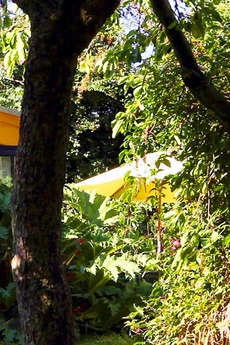 ‎Spender House (2018) directed by Emily Richardson • Reviews, film ...