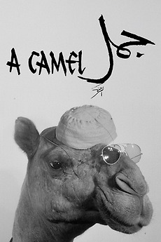 ‎A Camel (1981) directed by Ibrahim Shaddad • Reviews, film + cast ...