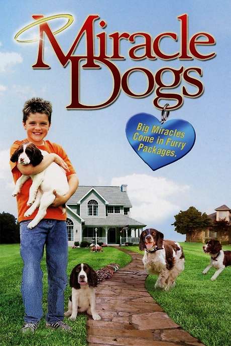 ‎Miracle Dogs (2003) directed by Craig Clyde • Reviews, film + cast ...