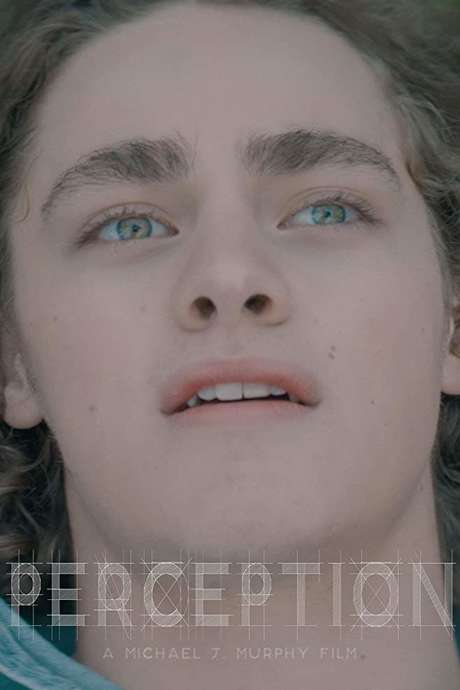 ‎Perception (2017) directed by Mikey Murphy • Reviews, film + cast • Letterboxd