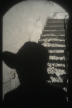 ‎Endless Flâneuring (2018) directed by Isao Yamada • Reviews, film ...