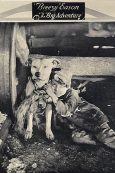 ‎The Big Adventure (1921) directed by B. Reeves Eason • Film + cast ...