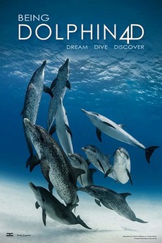 ‎Being Dolphin 4D (2018) directed by Bob Talbot • Reviews, film + cast ...