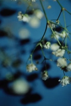 ‎Transcript (2019) directed by Erica Sheu • Reviews, film + cast ...