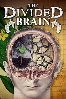 ‎The Divided Brain (2019) directed by Manfred Becker • Reviews, film ...