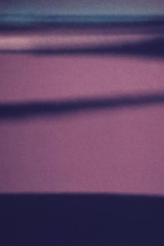 ‎Anamorphosis (1967) directed by Guido Haas • Film + cast • Letterboxd
