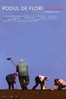 ‎The Flower Bridge (2008) directed by Thomas Ciulei • Film + cast ...