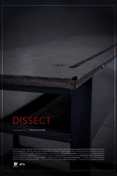 ‎Dissect (2019) directed by Siavash Shahabi • Reviews, film + cast ...