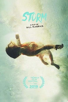 ‎Storm (2019) directed by Will Kindrick • Reviews, film + cast • Letterboxd