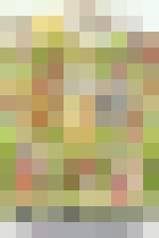 ‎Alice in Wonderland: An X-Rated Musical Fantasy (1976) directed by Bud ...