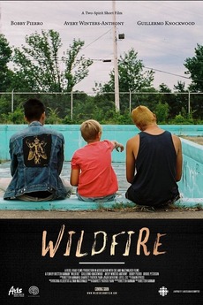‎Wildfire (2019) directed by Bretten Hannam • Reviews, film + cast ...
