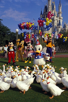 ‎Donald Duck's 50th Birthday (1984) directed by Andrew Solt, Phil ...