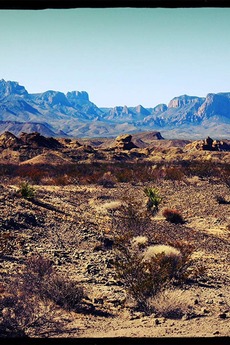 ‎Wolves Inside (2019) directed by Samantha Ireland • Reviews, film ...