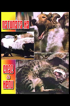 ‎The Adventures of Spas and Nelly (1987) directed by Georgi Stoev ...