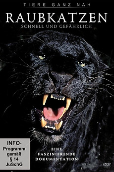 ‎Big Cats: Fast and Dangerous (2012) directed by Hugo van Lawick • Film ...