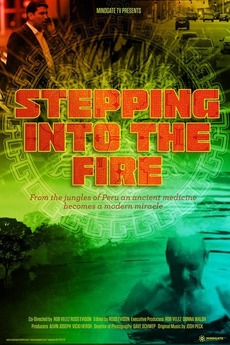 ‎Stepping Into the Fire (2011) directed by Roberto Velez, Ross Evison ...