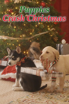 ‎Streaming Wonderland: Puppies Crash Christmas (2017) • Reviews, film ...