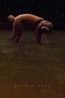 ‎Golden Hour (2019) • Reviews, film + cast • Letterboxd