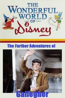 ‎The Further Adventures of Gallegher (1965) directed by Jeffrey Hayden ...