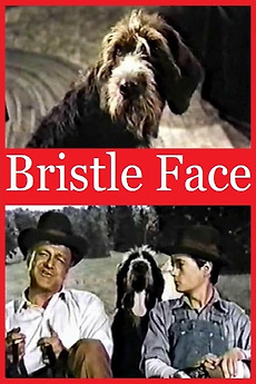 ‎Bristle Face (1964) directed by Bob Sweeney • Reviews, film + cast ...