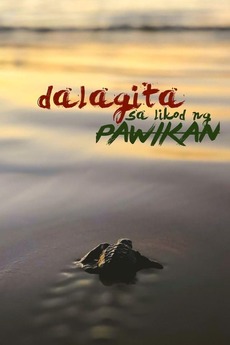 ‎Dalagita sa Likod Pawikan (2020) directed by Paul Sta. Ana • Film ...