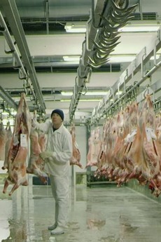 ‎The Butcher's Waltz (2014) directed by Anna Zackrisson • Film + cast ...