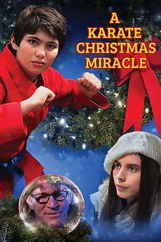 A Karate Christmas Miracle’ review by cameron fetter • Letterboxd