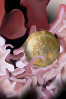 ‎Those Crazy Insides (2014) directed by Ben Wheele • Reviews, film ...