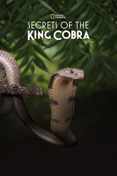 king cobra documentario