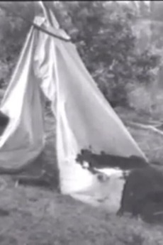 ‎Secret Spill (1974) directed by Theresa Hak Kyung Cha • Reviews, film ...