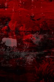 ‎Reverse Shadow (2019) directed by Janie Geiser • Reviews, film + cast ...