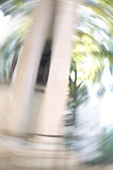 ‎New Yuck (2019) directed by Tristan Alexander • Reviews, film + cast ...