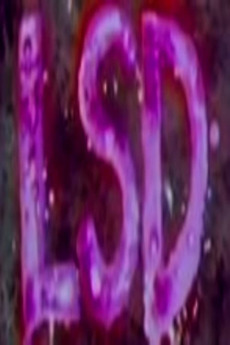 ‎LSD (1967) • Reviews, film + cast • Letterboxd