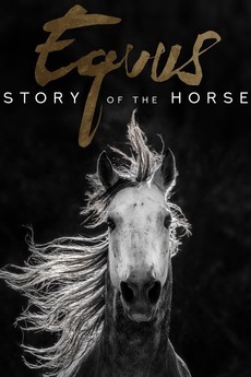‎Equus: Story of the Horse (2019) directed by Niobe Thompson, Dennis ...