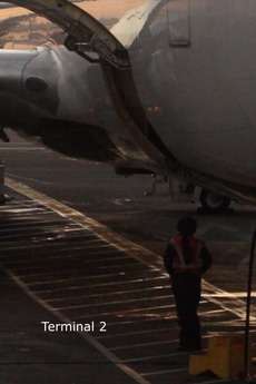 ‎Terminal 2 • Film + cast • Letterboxd