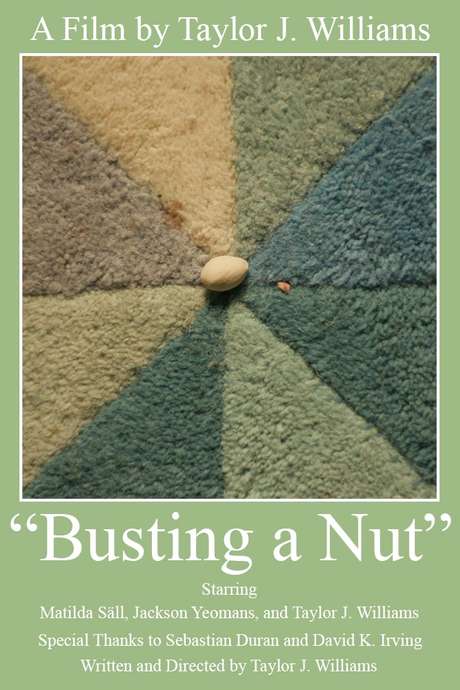 ‎busting A Nut 2019 Directed By Taylor J Williams • Reviews Film