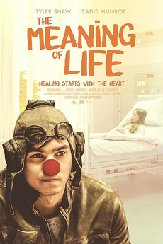‎The Meaning Of Life (2019) directed by Cat Hostick • Reviews, film ...