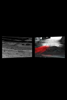 ‎Dissonance and Disturbance (2012) directed by Lis Rhodes • Reviews ...